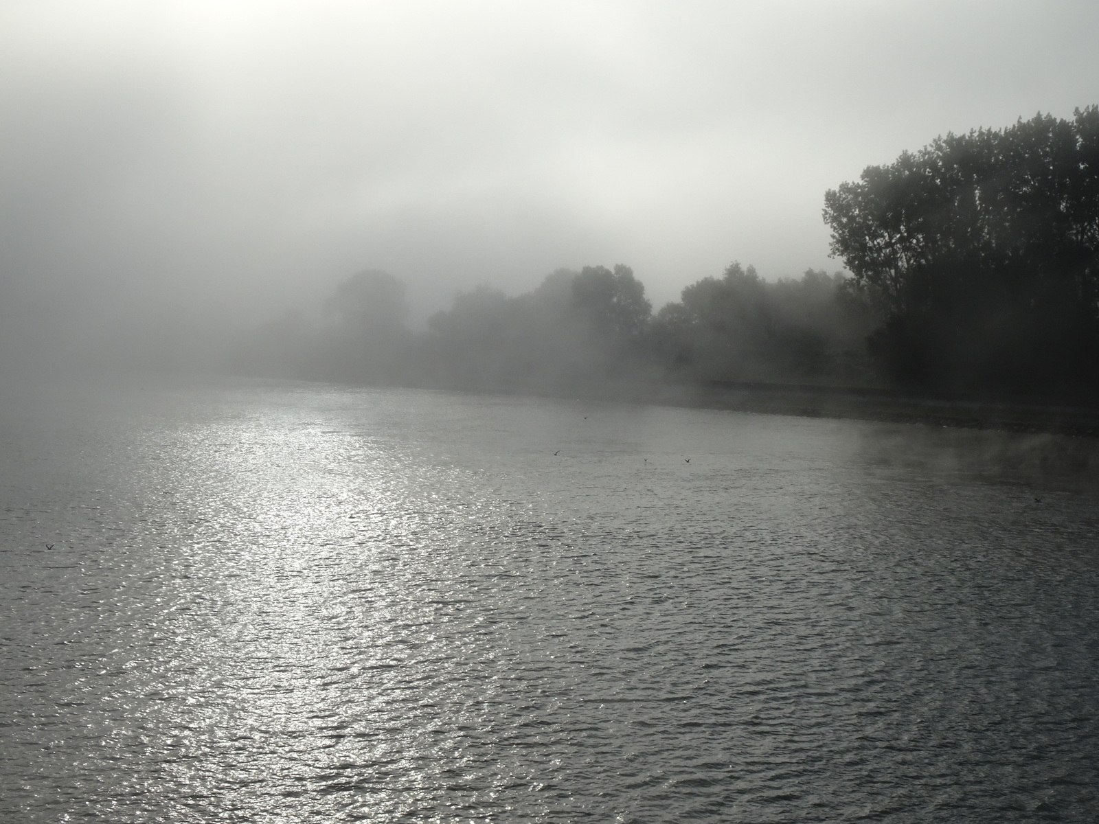 Westeuropas Flüsse, die letzte Fahrt der Aida Aura (6. Teil ...
