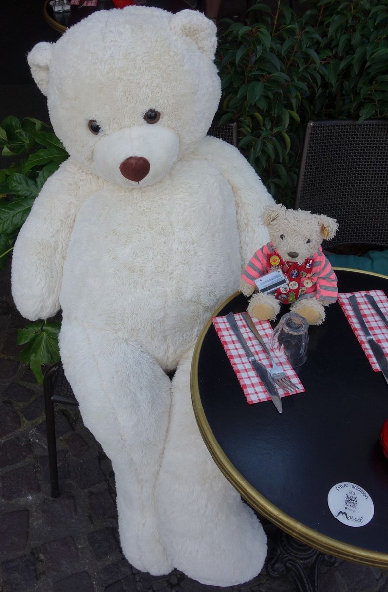 Westeuropas Flüsse, die letzte Fahrt der Aida Aura (7. Teil) // Rouen ...